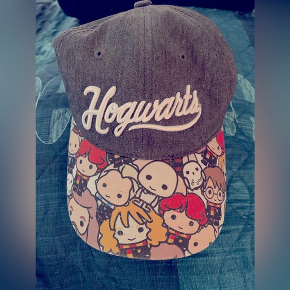 unknown | Accessories | Hogwarts Hat | Poshmark